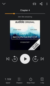 How Does Audible Work? Audible Review 2022